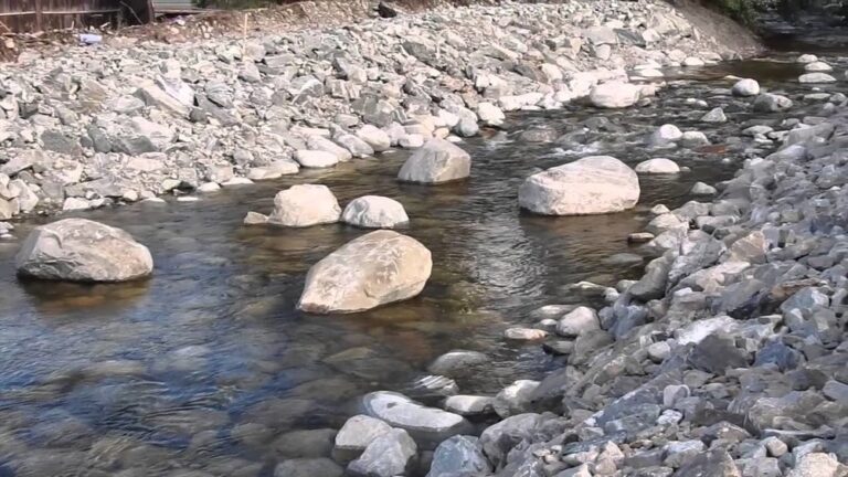 Fish Habitat Restoration – Instream Techniques – Self Paced – Perpetual ...