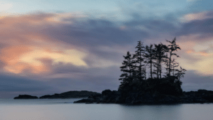 The Future of Environmental Science: Top Trends and Innovations in 2025 ...