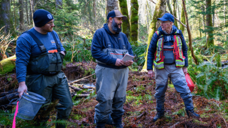 The Future of Environmental Science: Top Trends and Innovations in 2025 ...