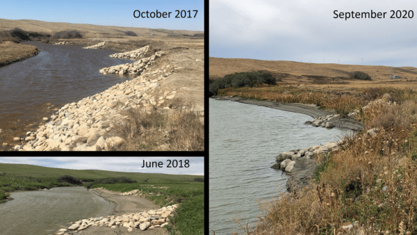 Groyne Design and Function in Rivers | Natural Resources Training Group