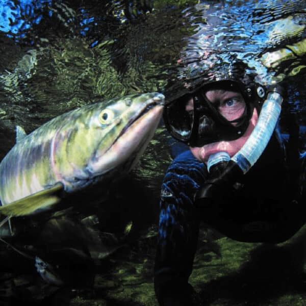 Home Page | Natural Resources Training Group