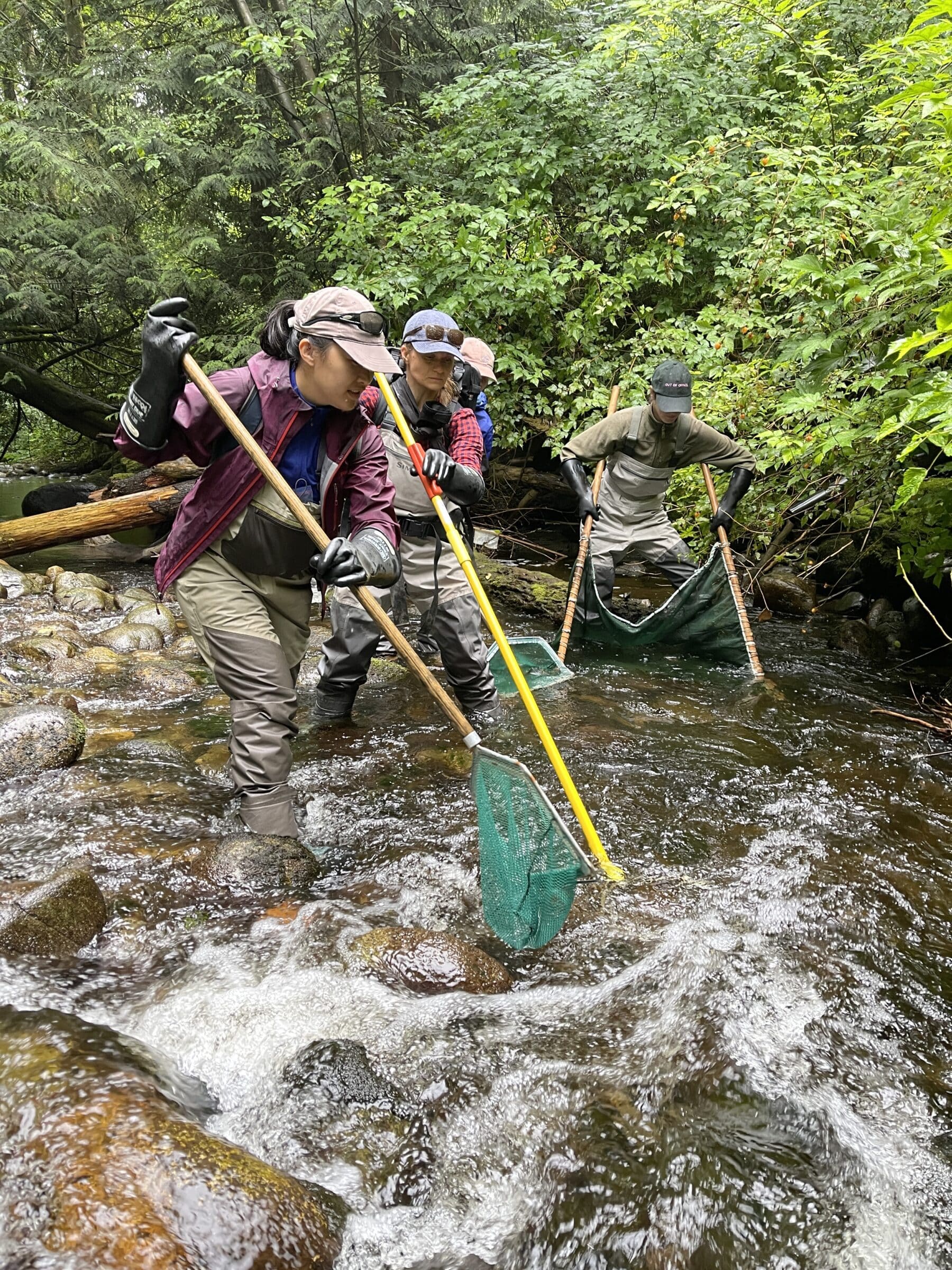 Habitat, timing, and stealth: Hunting skills applied to electrofishing ...
