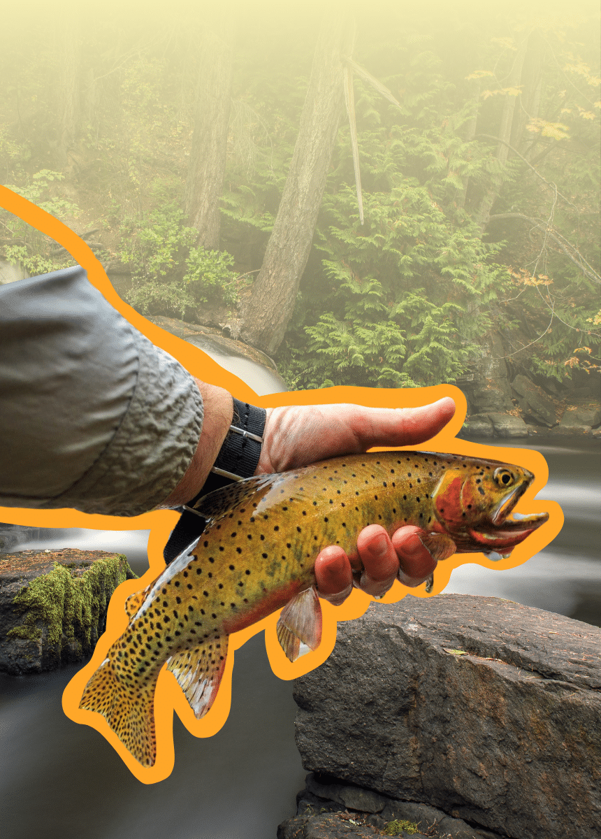 Ichthyology Natural Resources Training Group