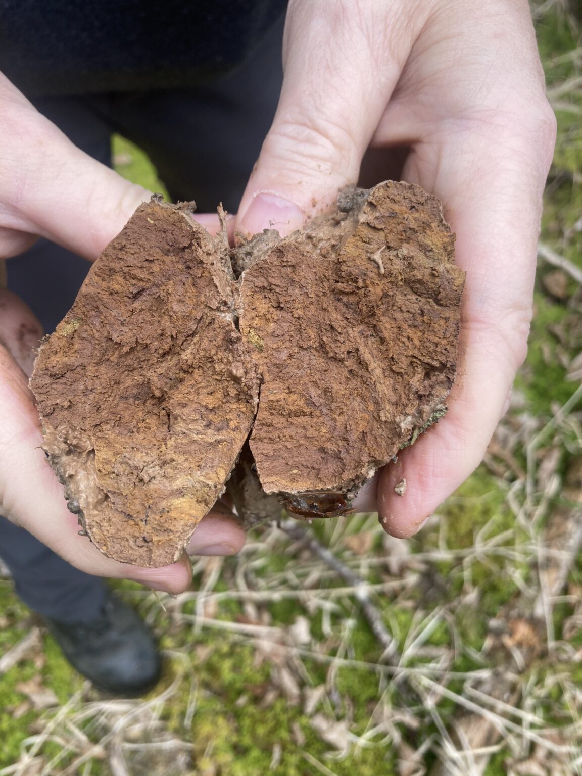 Understanding How Site Factors Shape Forests – Online – April 21st ...